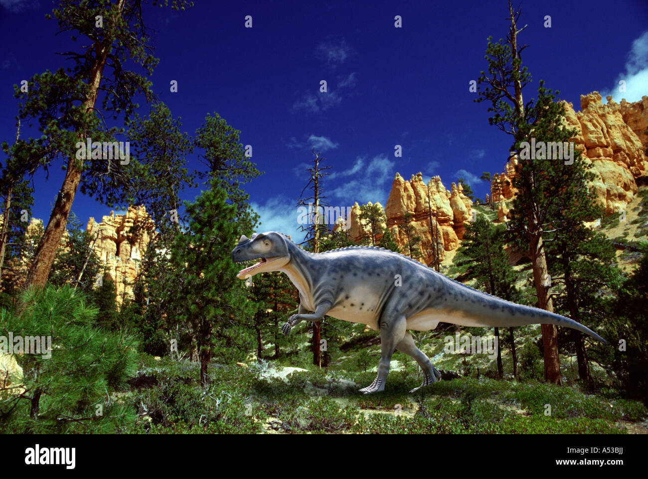 Ceratosaurus hi-res stock photography and images - Alamy