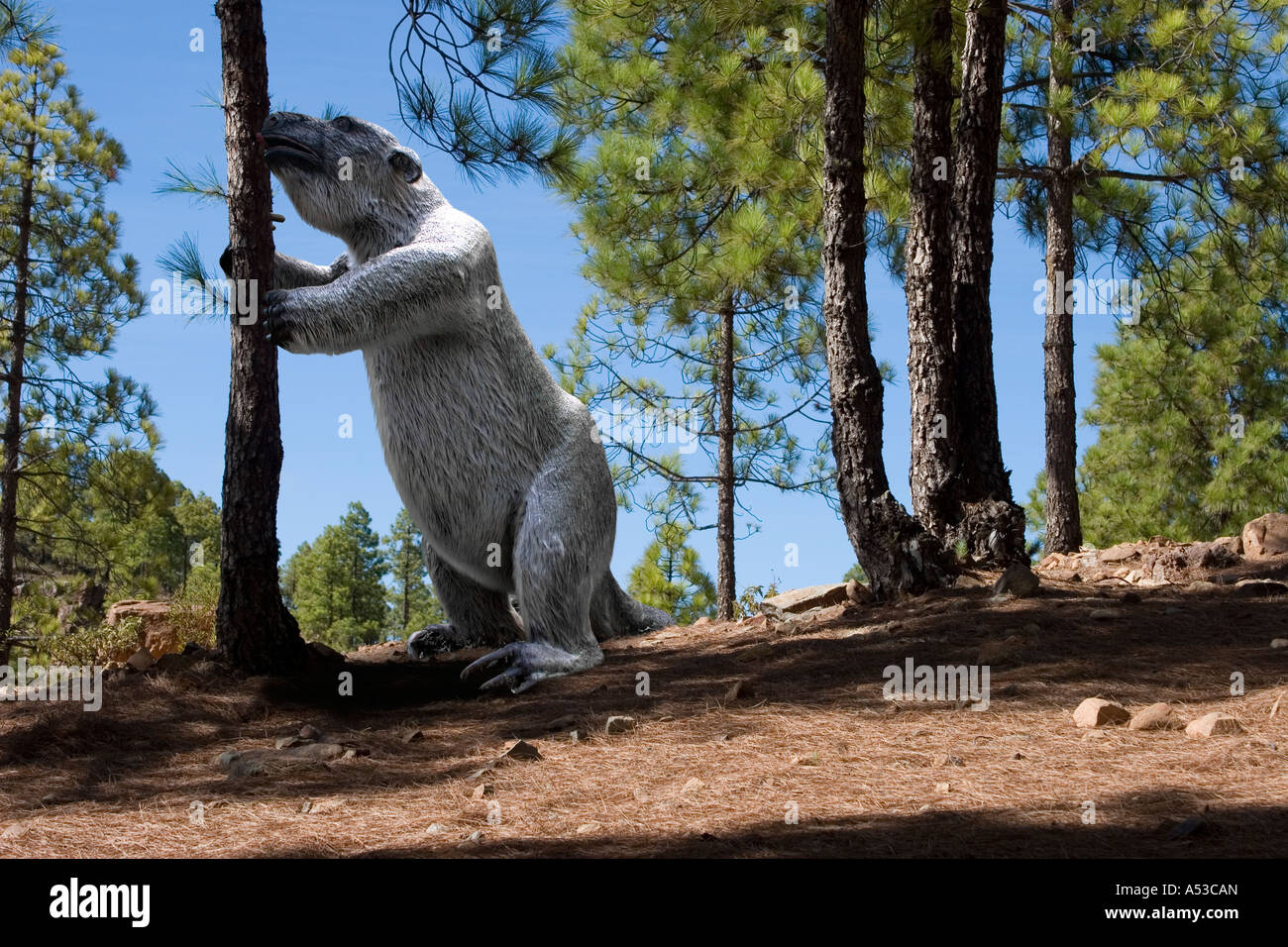 Megatheriidae hi-res stock photography and images - Alamy