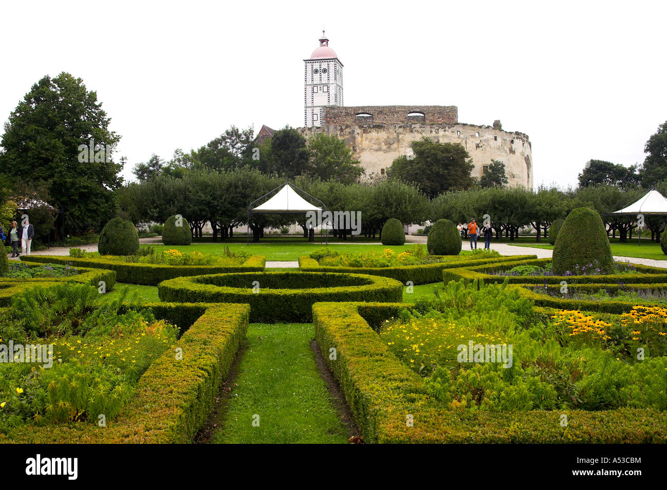 Buchsbaum design hi-res stock photography and images - Alamy
