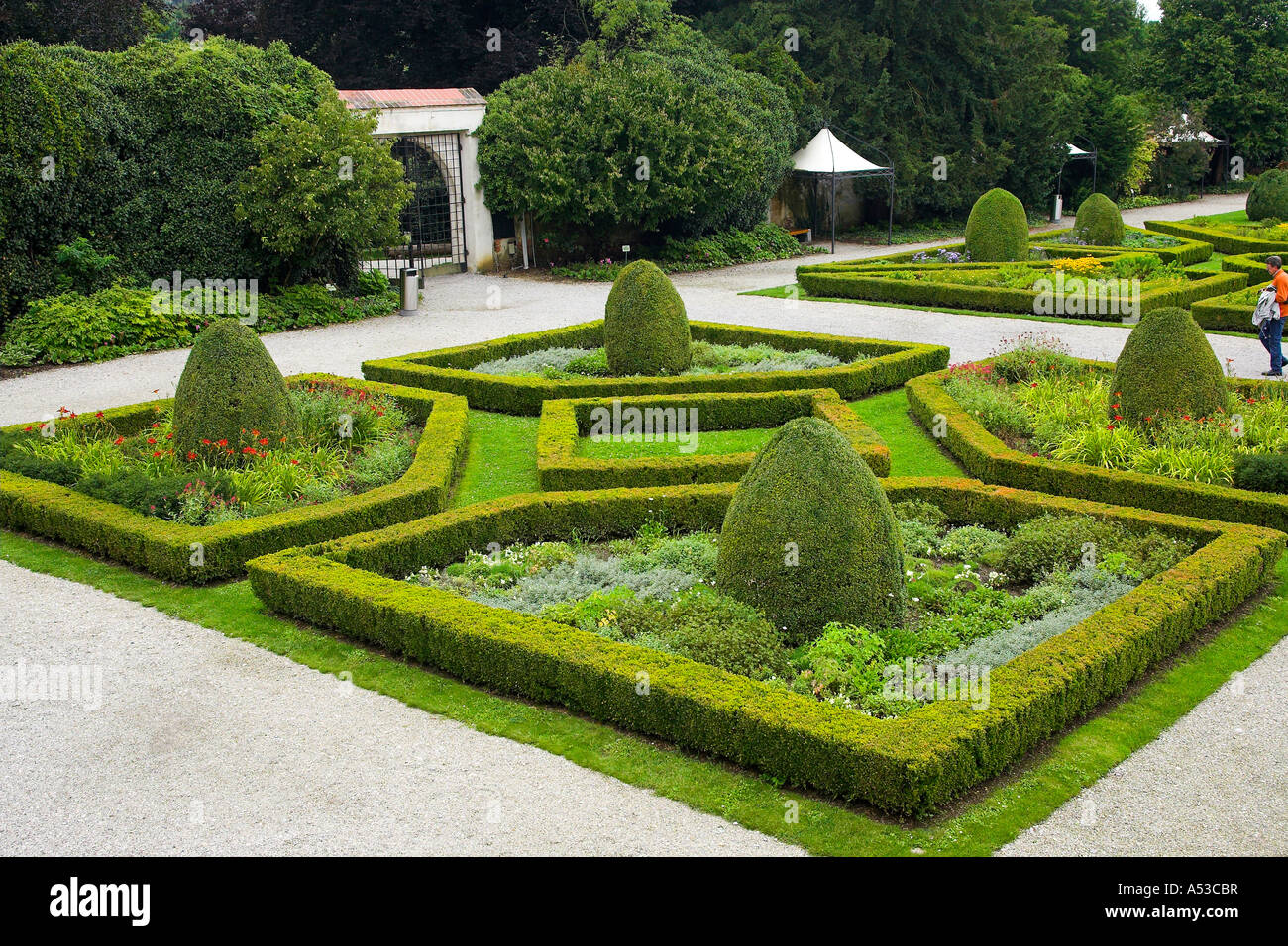 Buchsbaum design hi-res stock photography and images - Alamy