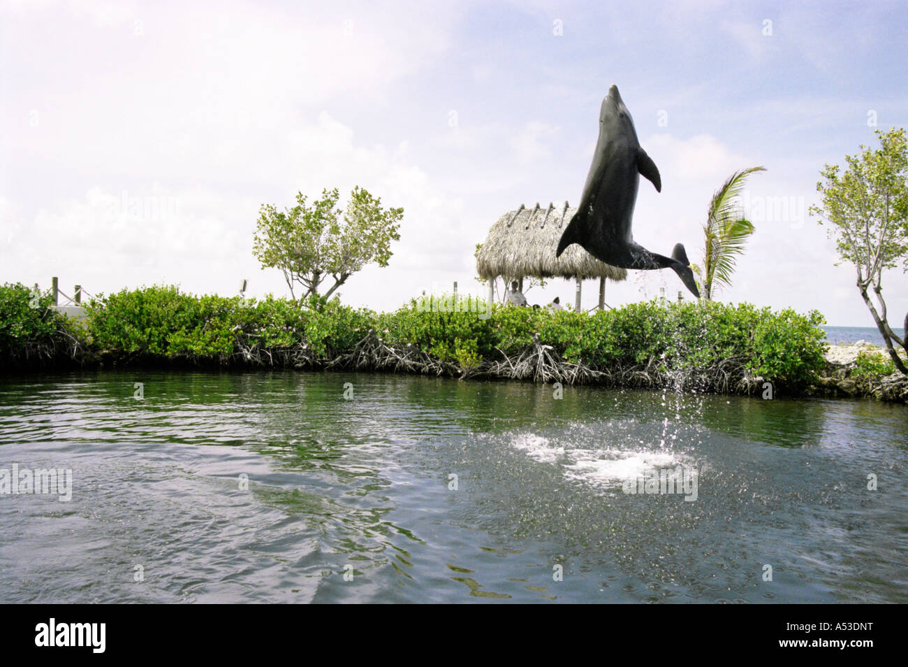 Dolphin enclosure hi-res stock photography and images - Alamy