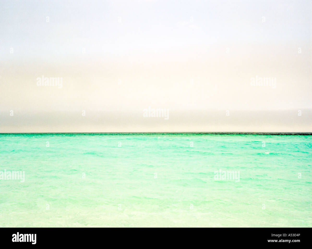Green coloured sea in Cape Town South Africa Stock Photo - Alamy