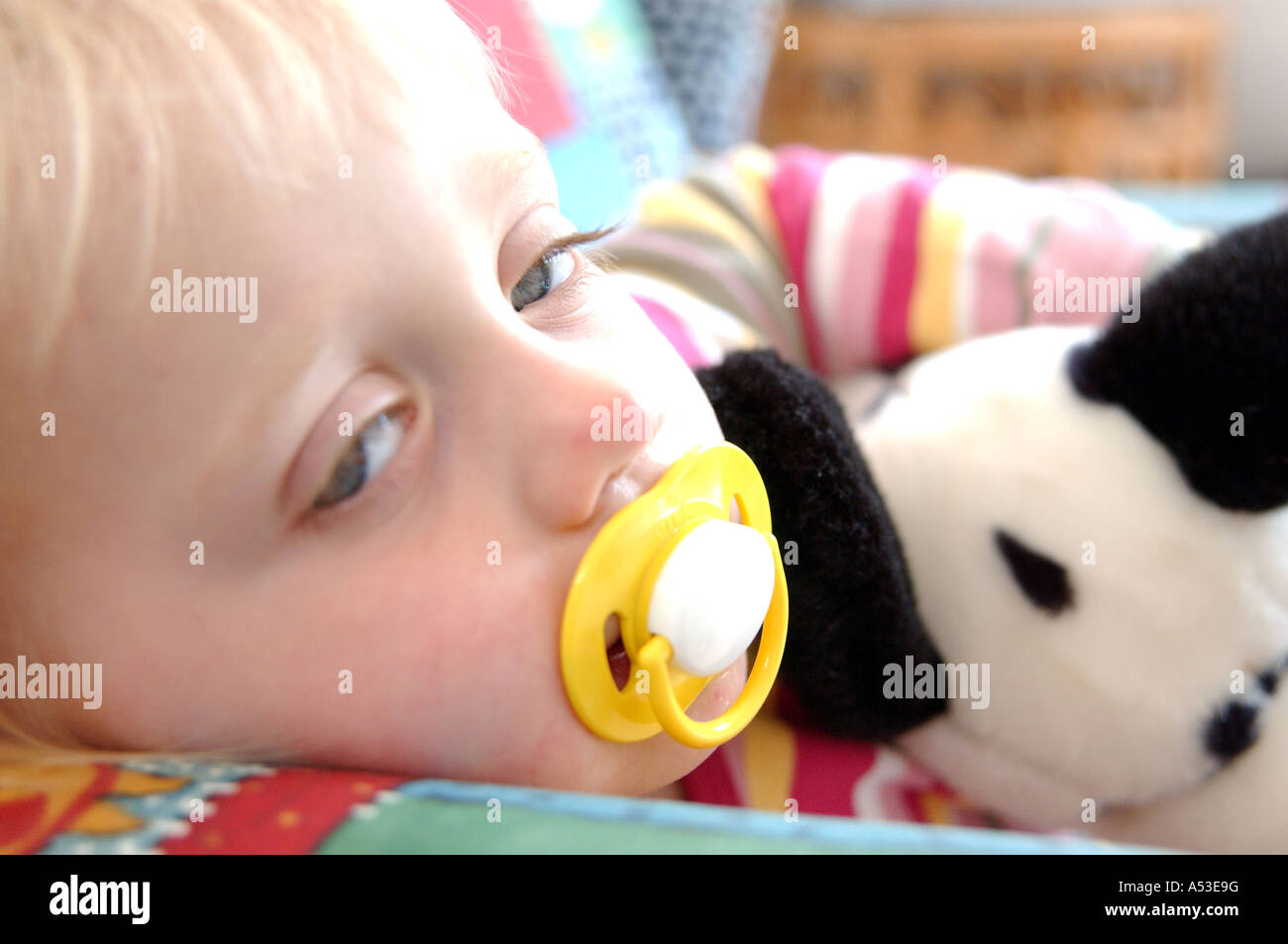 British toddler child laying on sofa with dummy half asleep UK Stock ...