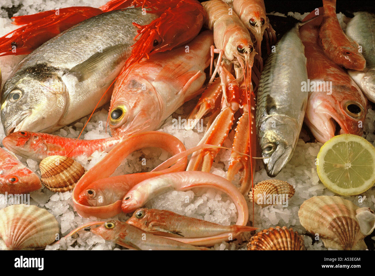 Seafood still life Stock Photo - Alamy