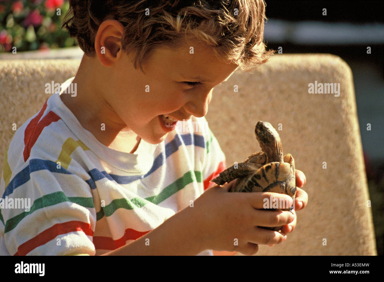 Turtle and child Stock Photo - Alamy