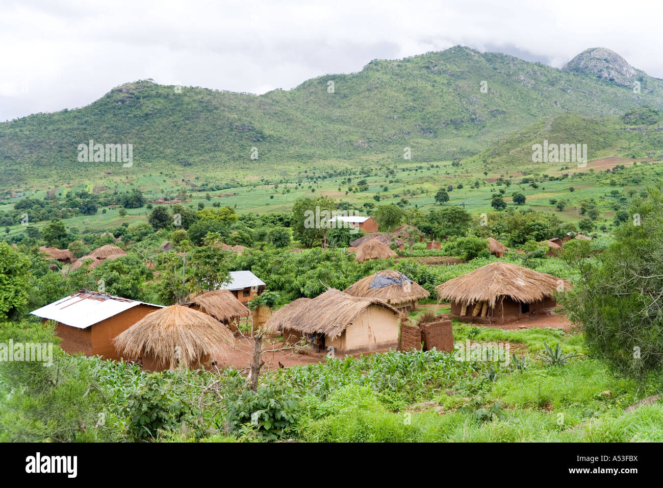 The wet rainy season at a village near Nkhoma Malawi Africa Stock Photo ...