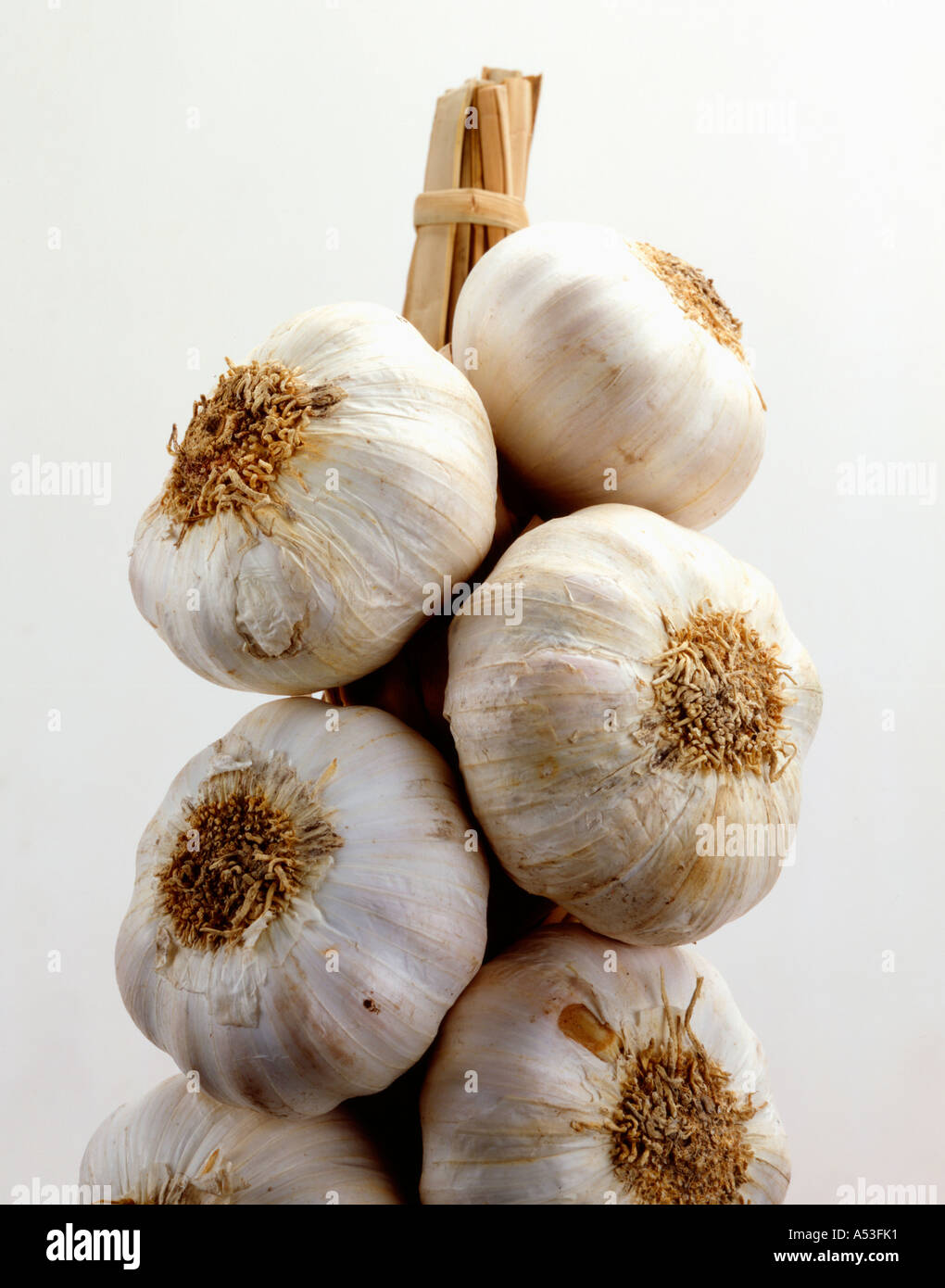 A Garlic Braid Stock Photo - Alamy