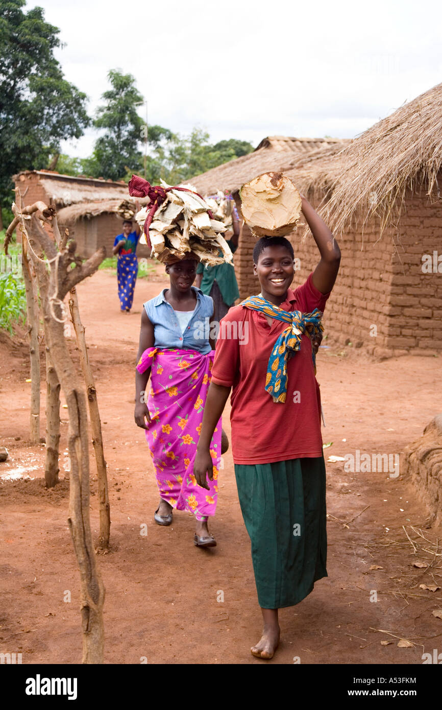 African women collecting firewood hi-res stock photography and images ...