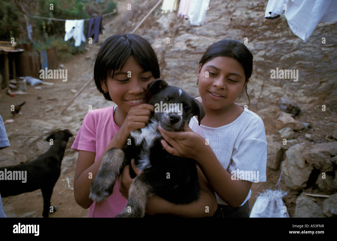 Girls and dog hi-res stock photography and images - Alamy