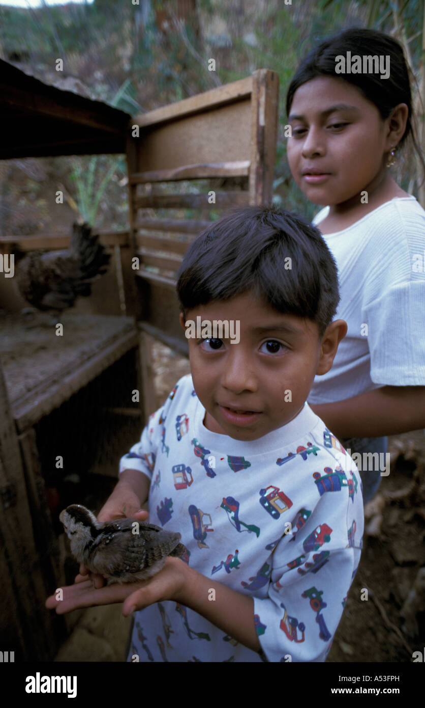 Painet ha0720 5659 mexico hispanic children boy pet birds nino project ...