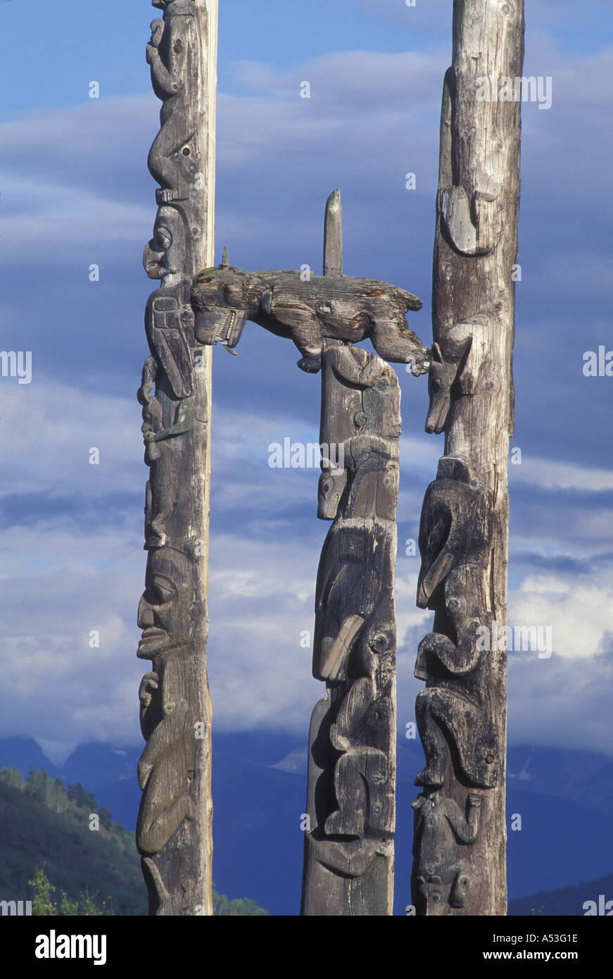 Canada British Columbia Totem poles depicting bear in village of ...