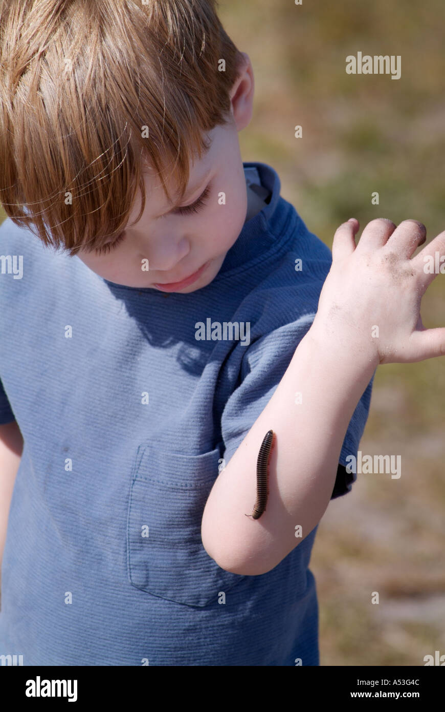 boy with bug Stock Photo - Alamy