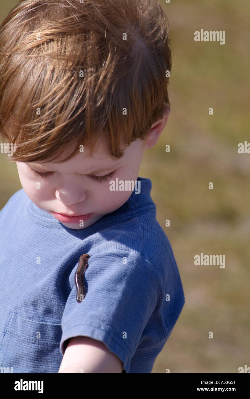 boy with bug young boy looking at millipede holding bug curious insects ...