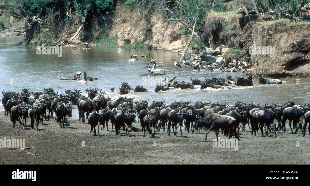 Marai hi-res stock photography and images - Alamy