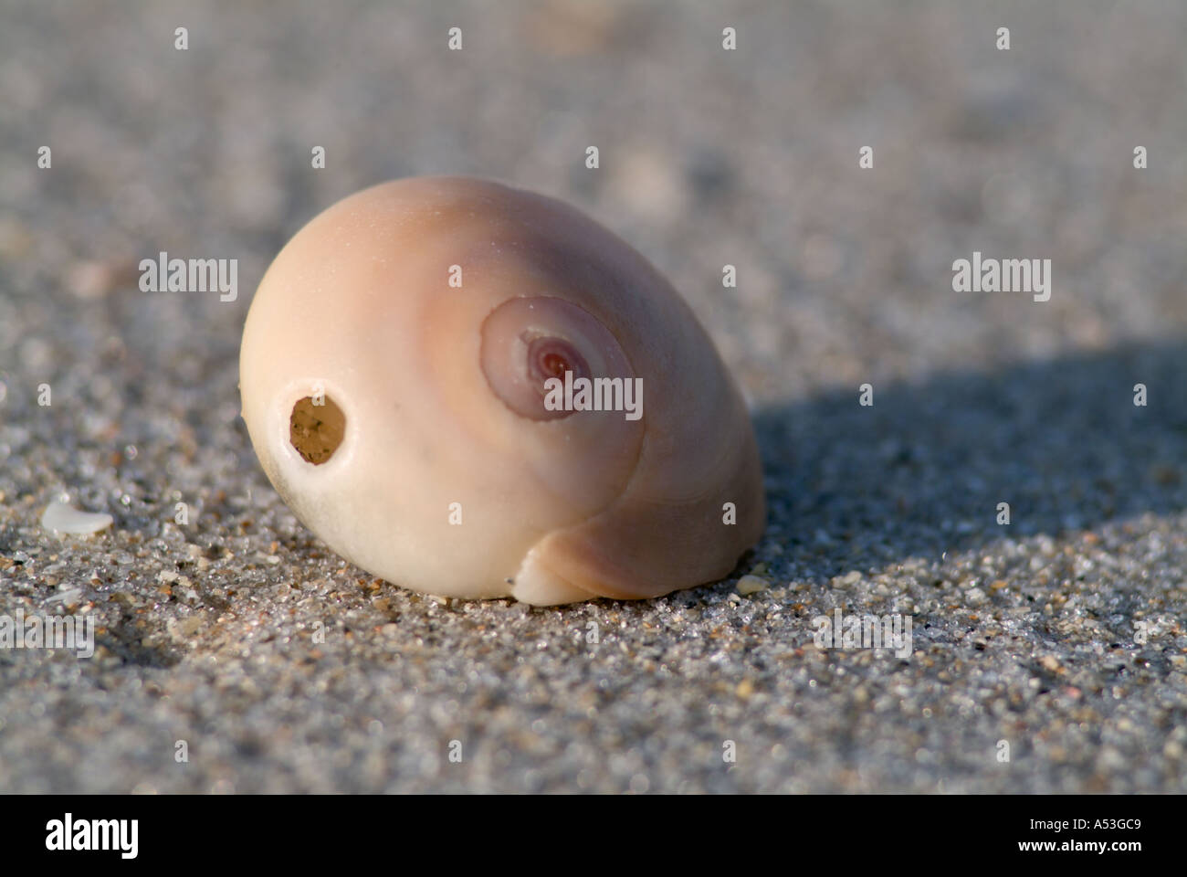 Hole bored hi-res stock photography and images - Alamy