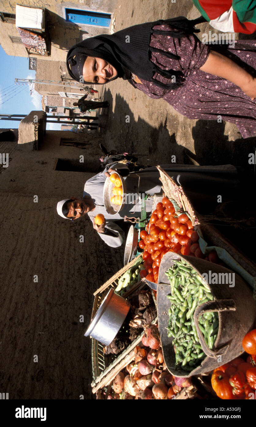 Painet ha0779 5738 egypt vegetable seller manhari village minya country ...