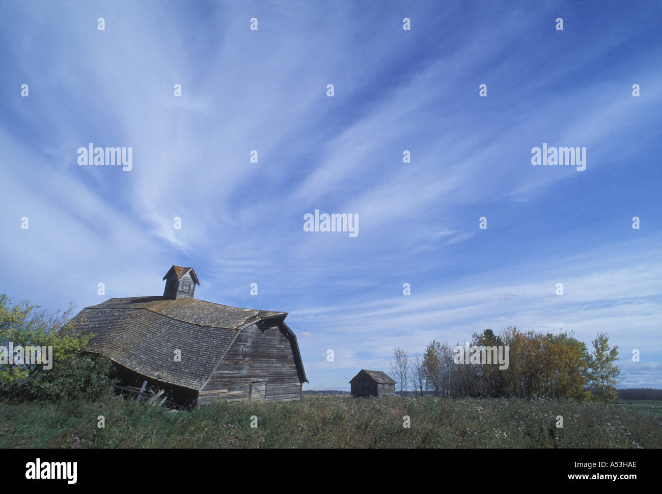Canada Saskatchewan Norquay Abandoned barn collapses in wheat field on ...