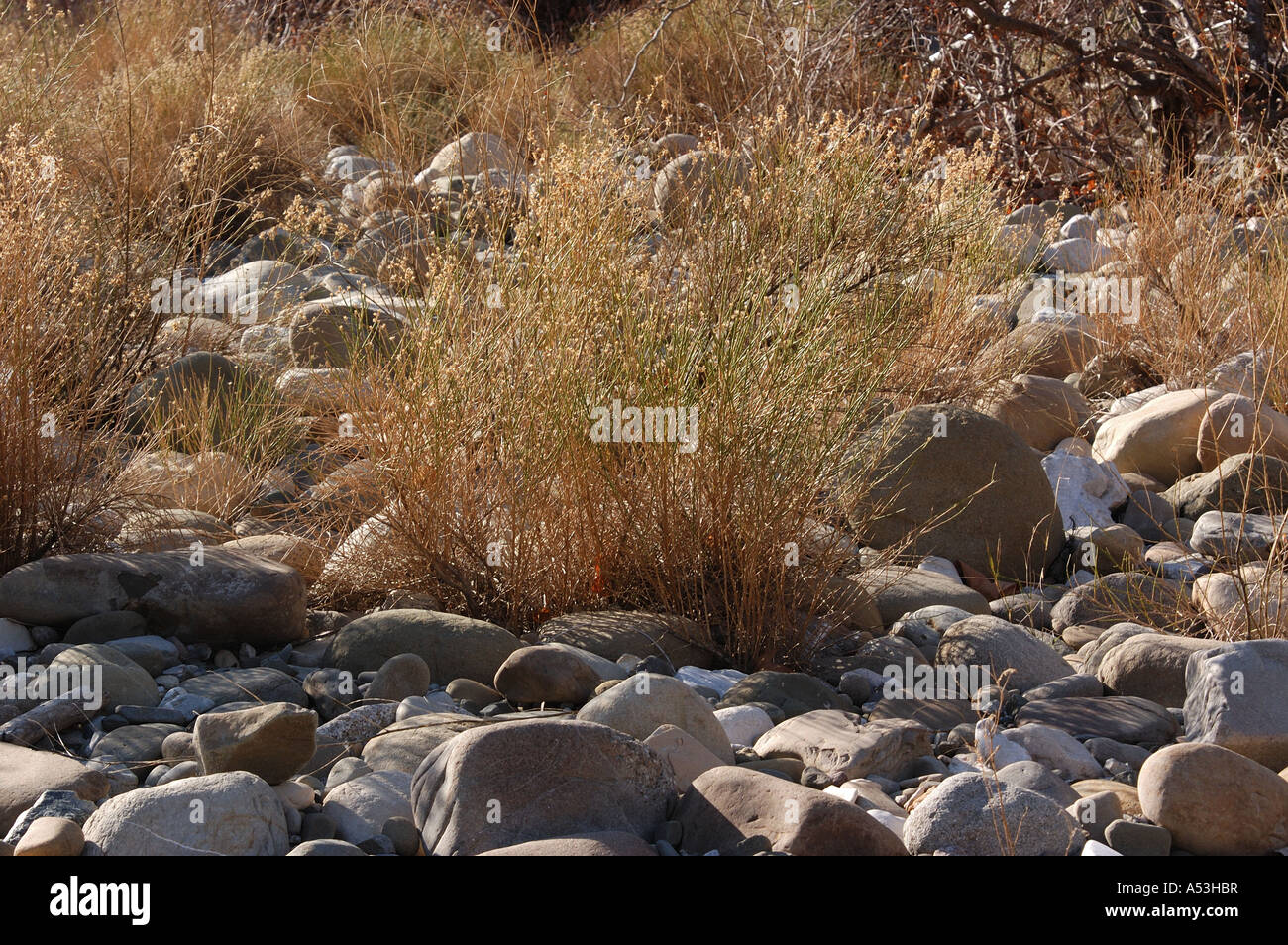 California riverbed hi-res stock photography and images - Alamy