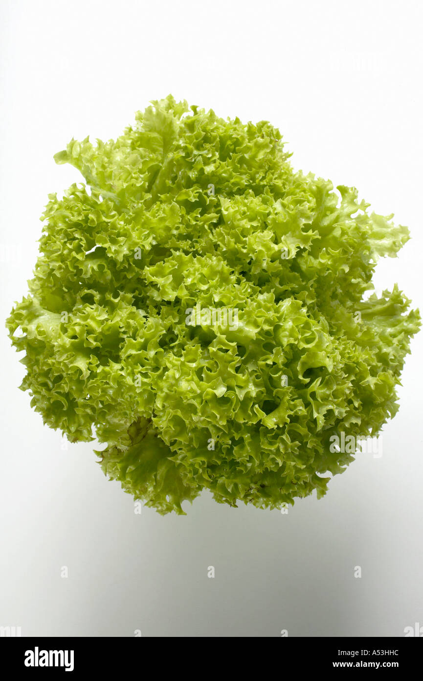 Lollo biondo hi-res stock photography and images - Alamy