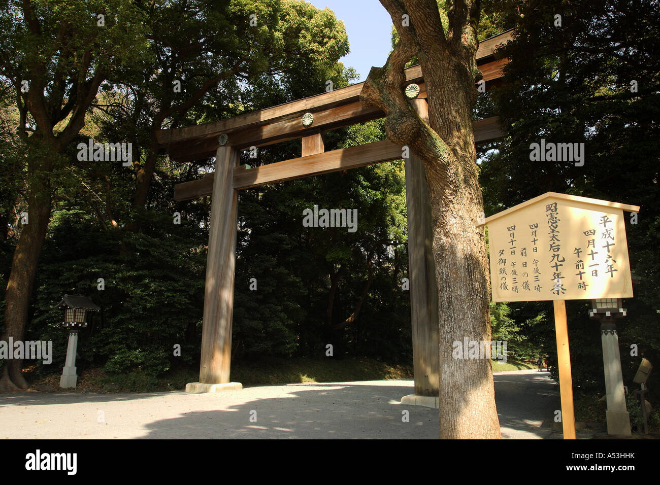 Tokyo Japan travel Japan traditional temple Lantern Pray Prayer Cherry ...
