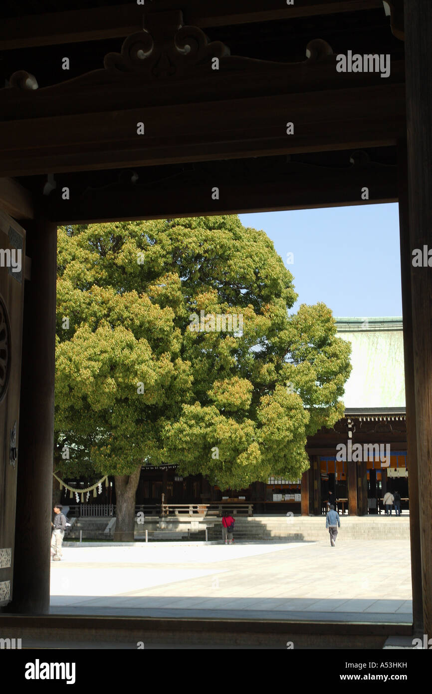 Tokyo Japan travel Japan traditional temple Lantern Pray Prayer Cherry ...