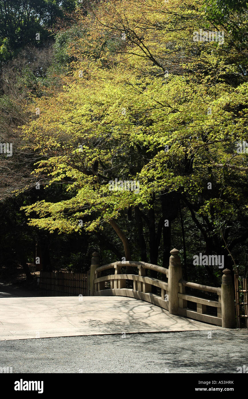 Tokyo Japan travel Japan traditional temple Lantern Pray Prayer Cherry ...