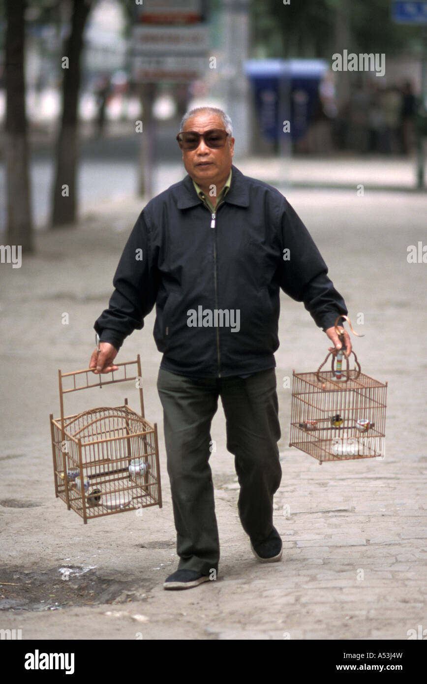 Painet ha1021 7074 china man carrying birds xian country developing ...