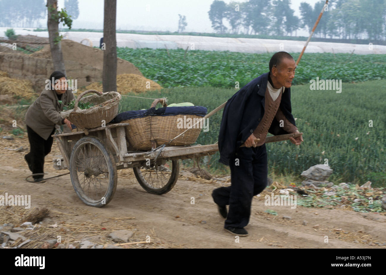 Painet ha1033 7088 china elderly man hand women moving cart farm ...
