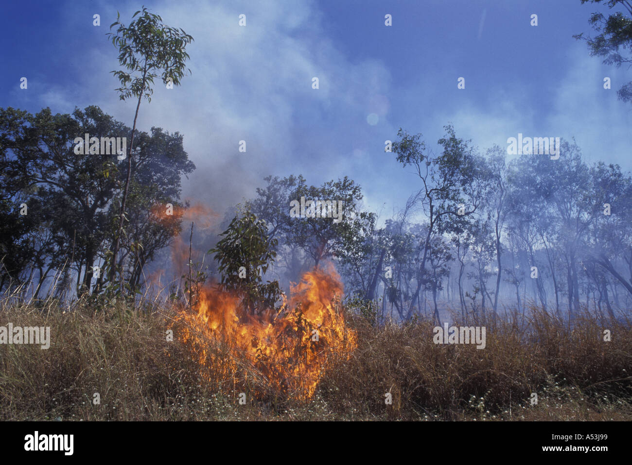 Controlled burning australia desert hi-res stock photography and images ...