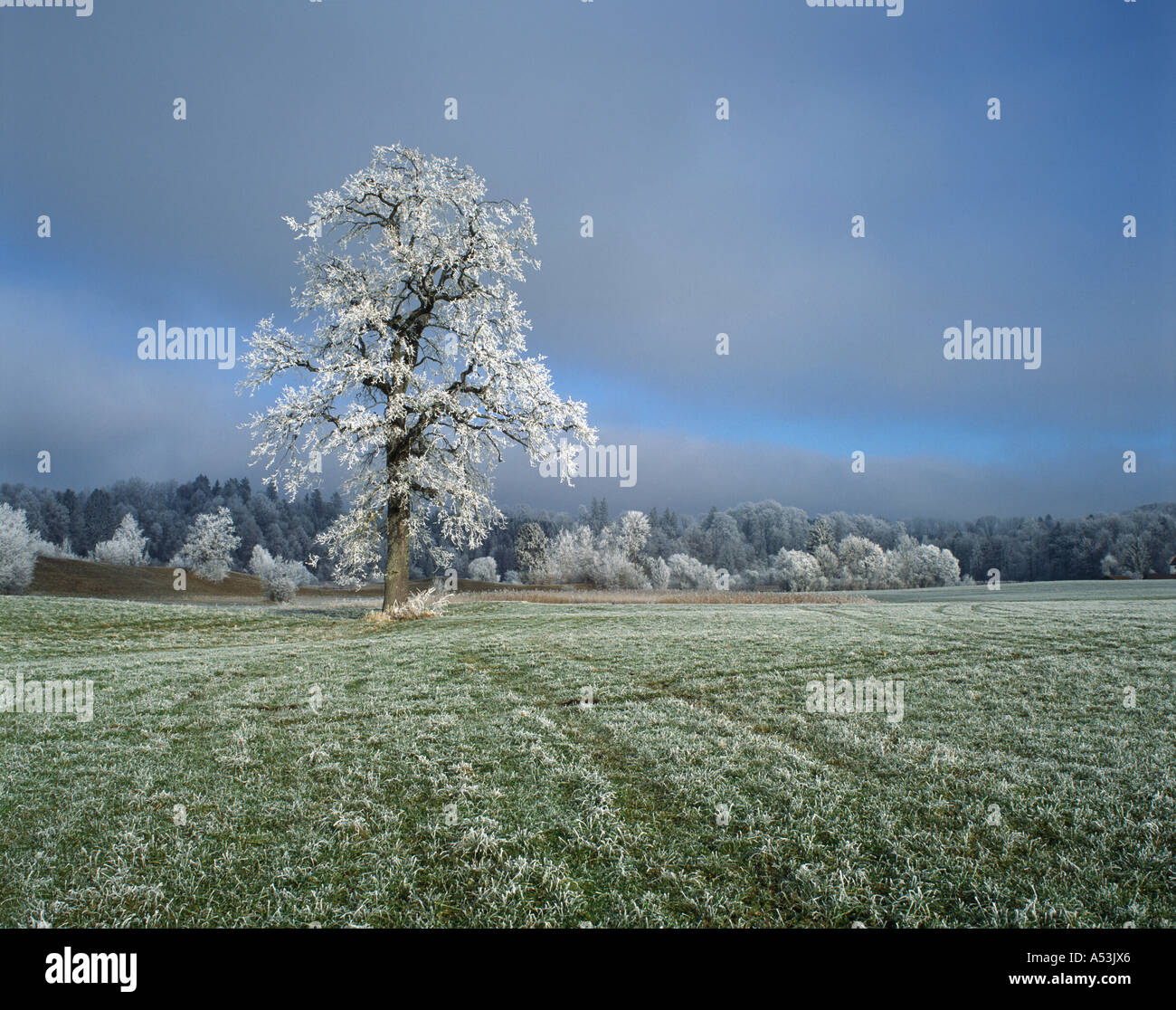 Dust of frost hi-res stock photography and images - Alamy