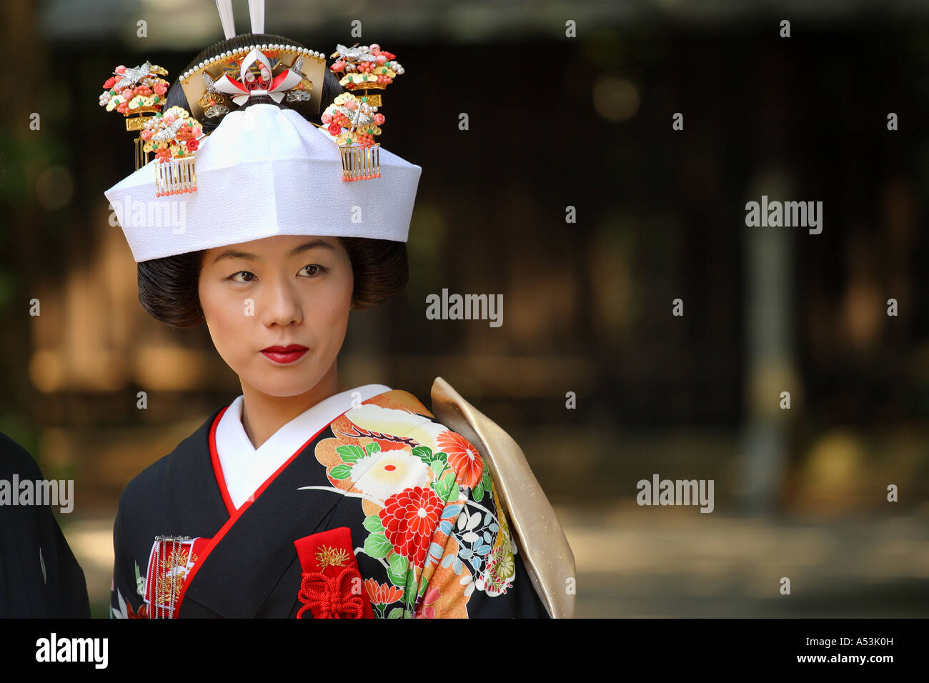 toyko japan travel Stock Photo - Alamy