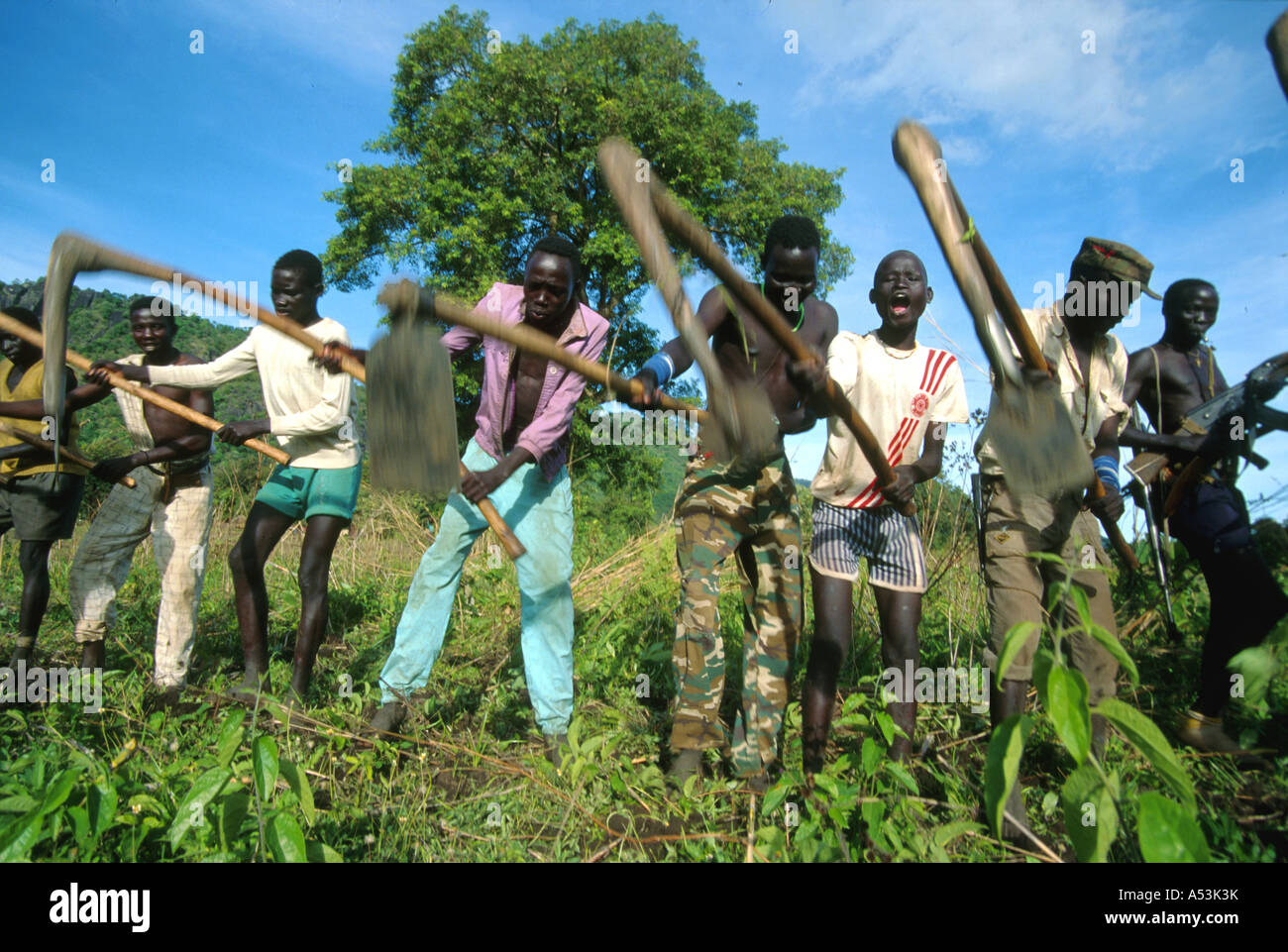 Painet ha1487 3019 farming soldiers cultivating field chukudum south ...