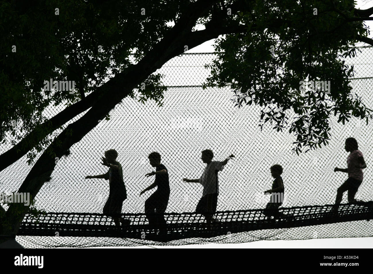 Children on rope bridge hi-res stock photography and images - Alamy