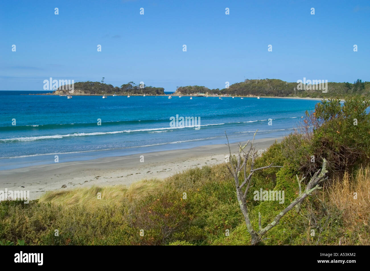Beach near Nubeena on Tasman Peninsula Tasmania Australia Stock Photo ...