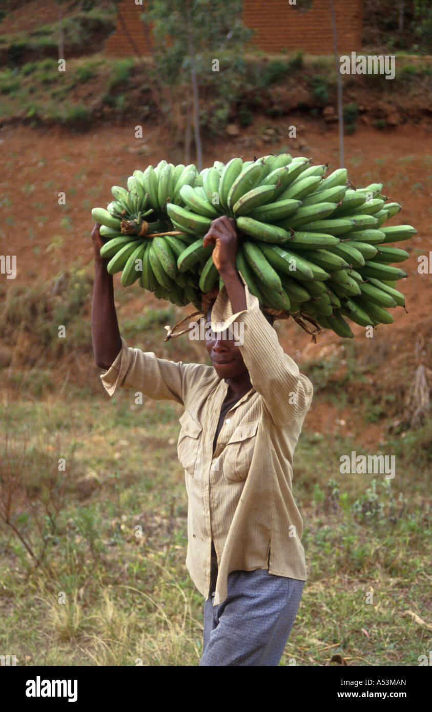 3258 hi-res stock photography and images - Alamy