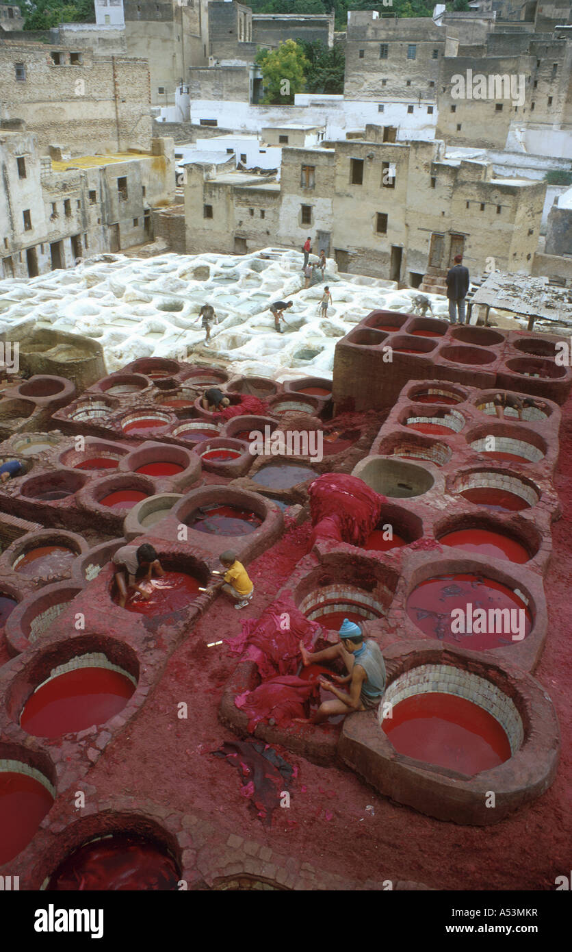 Painet ha1647 3328 morocco leather dyeing vats fes country developing ...