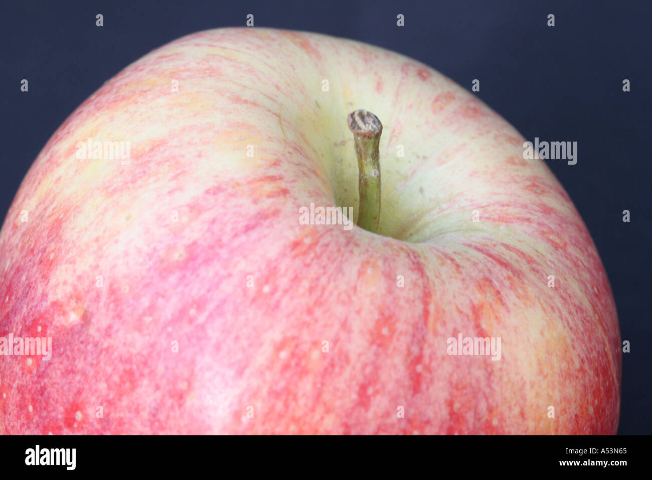Wax apple skin hi-res stock photography and images - Alamy