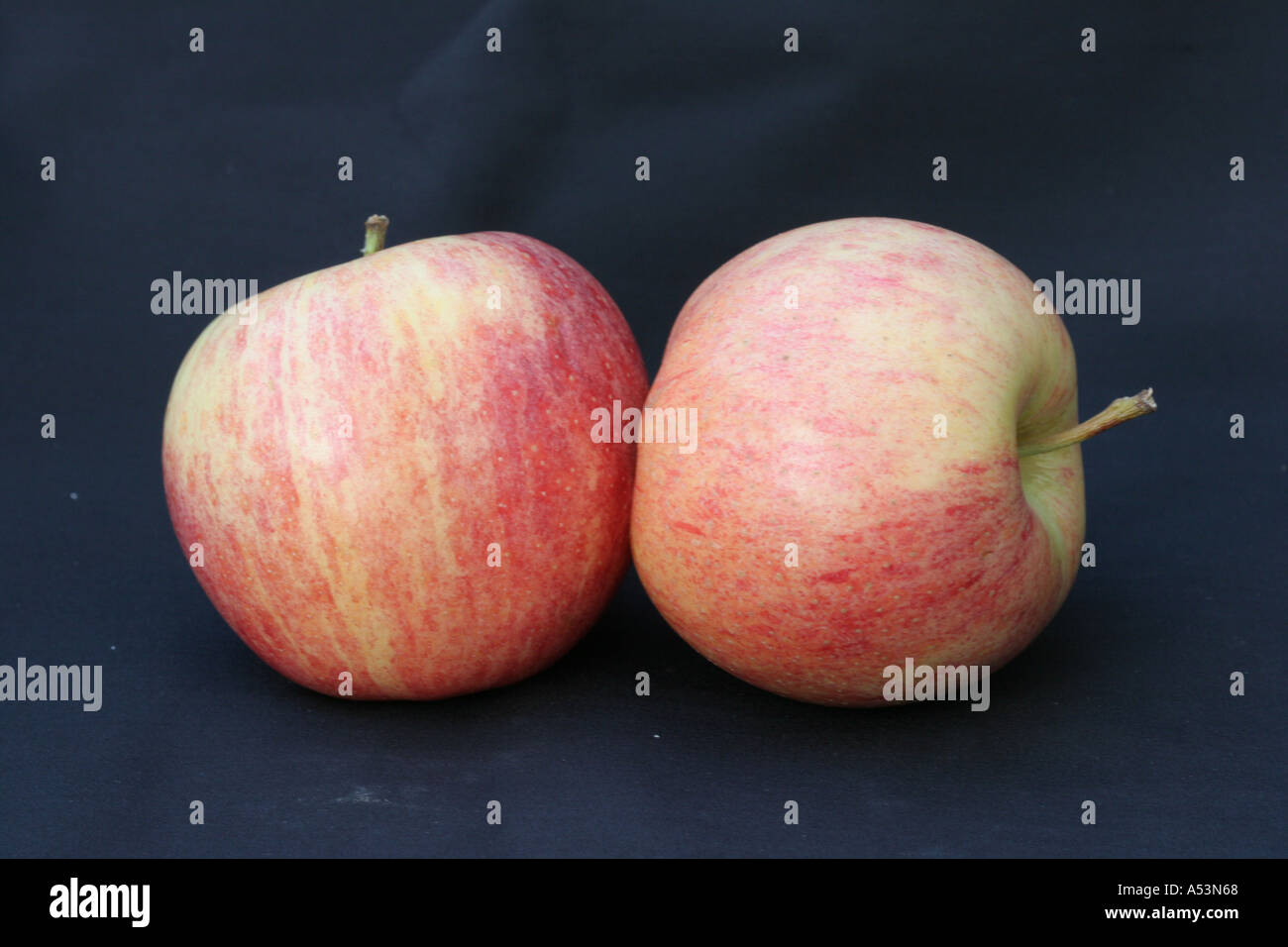 Apple pip skin hi-res stock photography and images - Alamy