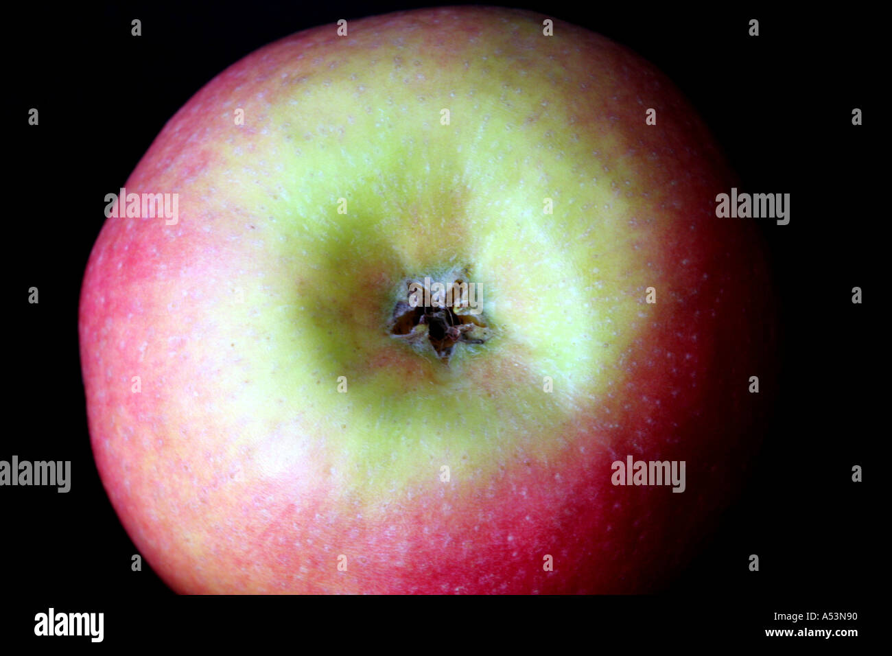 Wax apple skin hi-res stock photography and images - Alamy