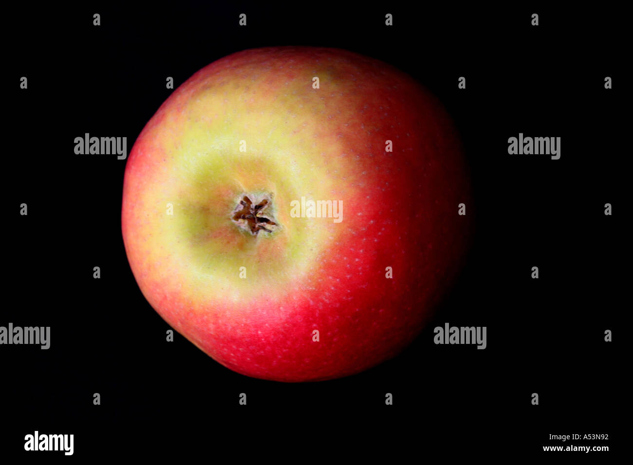 Wax apple skin hi-res stock photography and images - Alamy