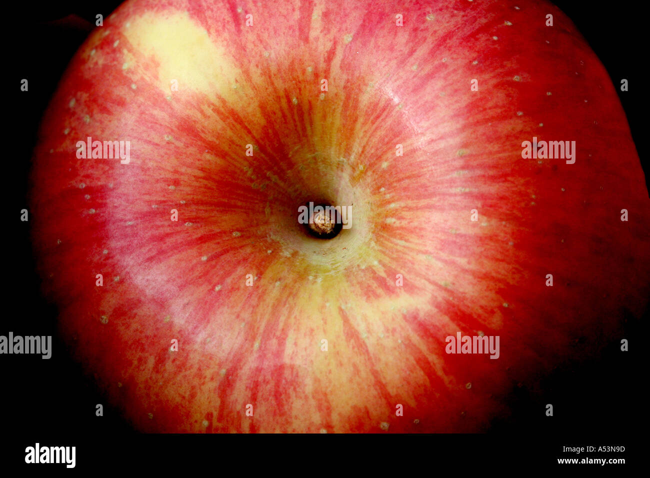 Waxy flesh hi-res stock photography and images - Alamy