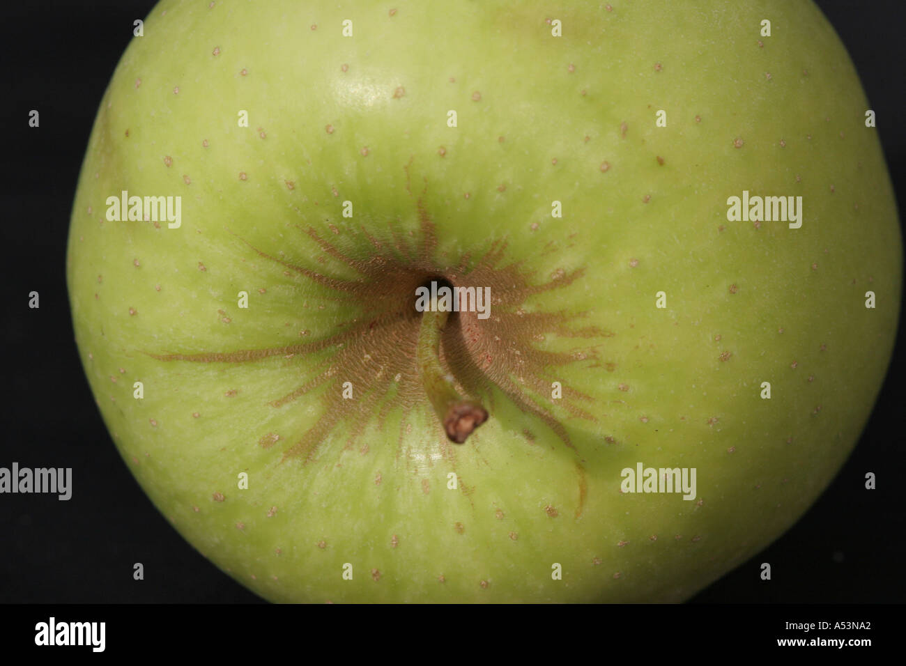 Apple pip skin hi-res stock photography and images - Alamy