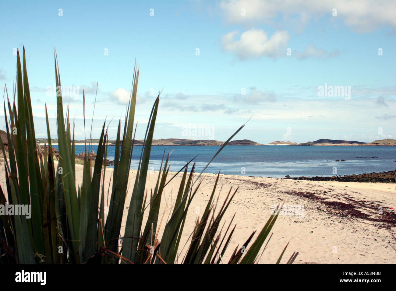 Pelistry scilly isles hi-res stock photography and images - Alamy