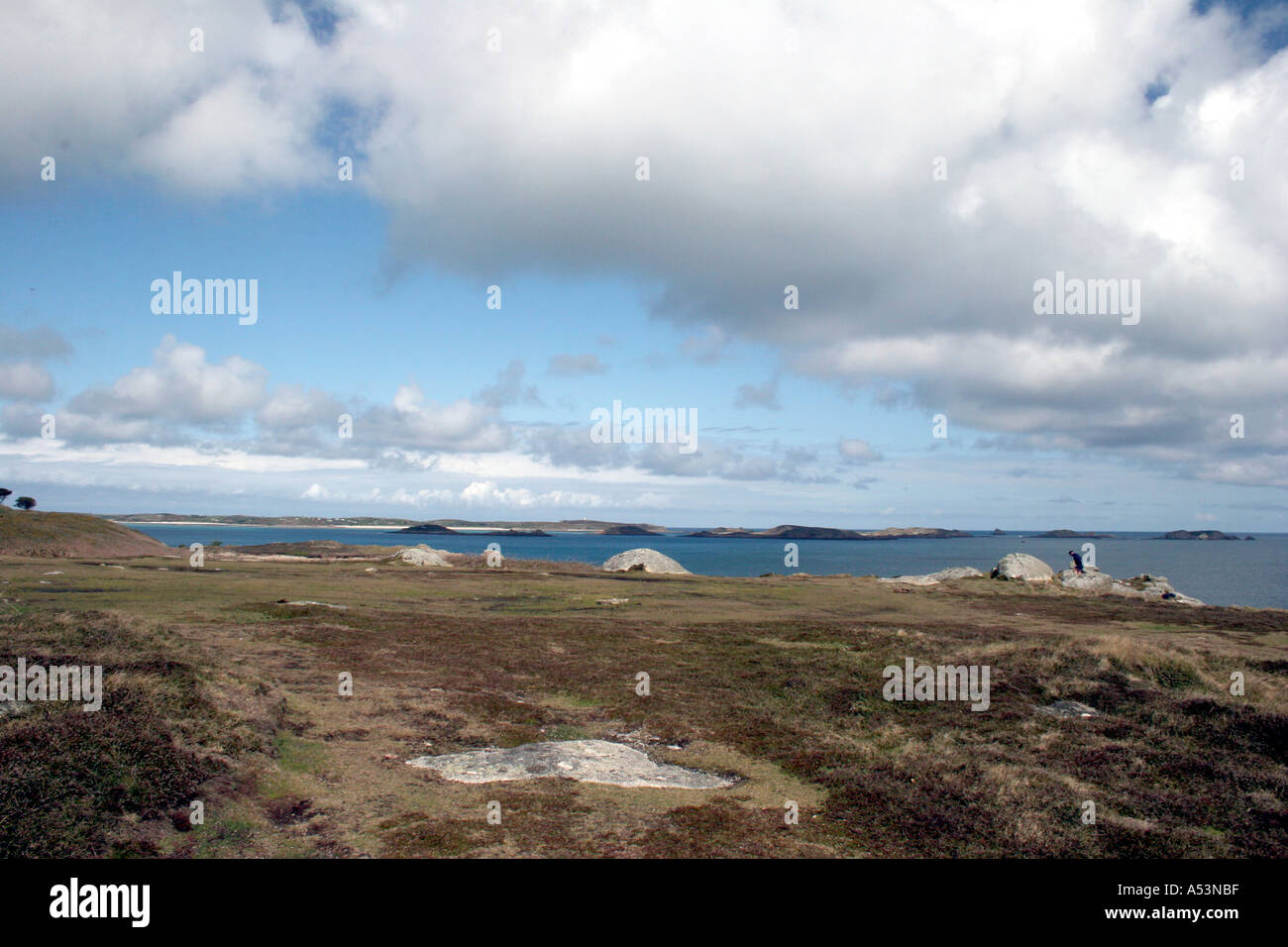 North pelistry hi-res stock photography and images - Alamy