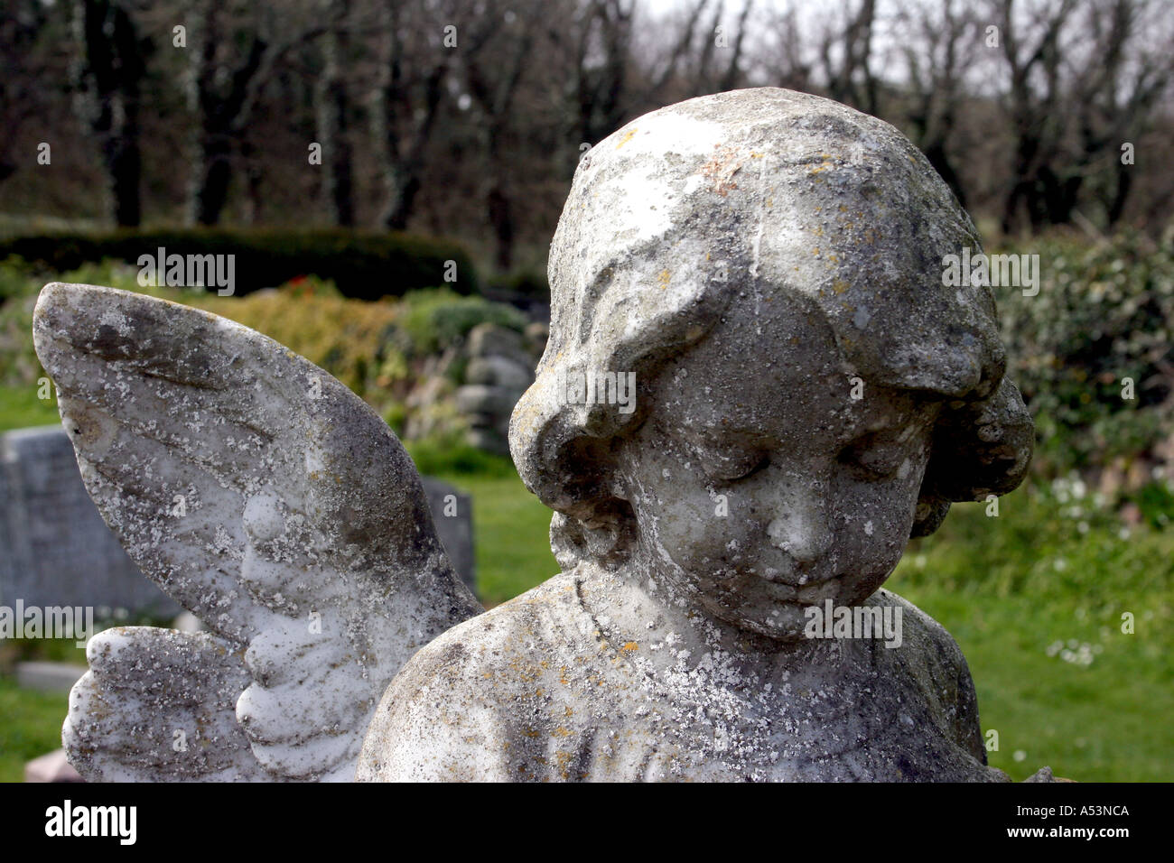 Angelic thoughtful hi-res stock photography and images - Alamy