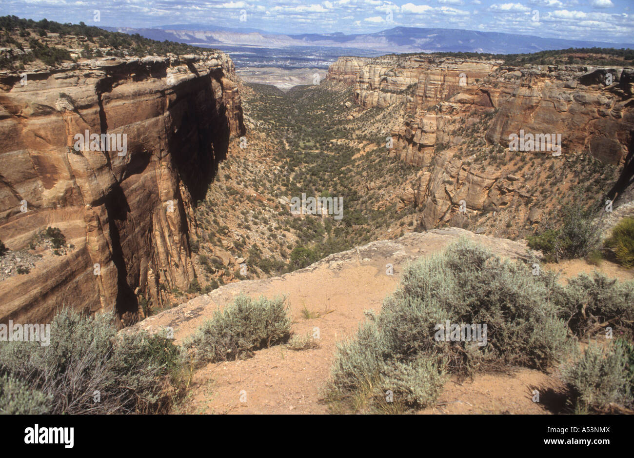 The Geology & Landscape,Of The Colorado National,Monument,USA Stock ...