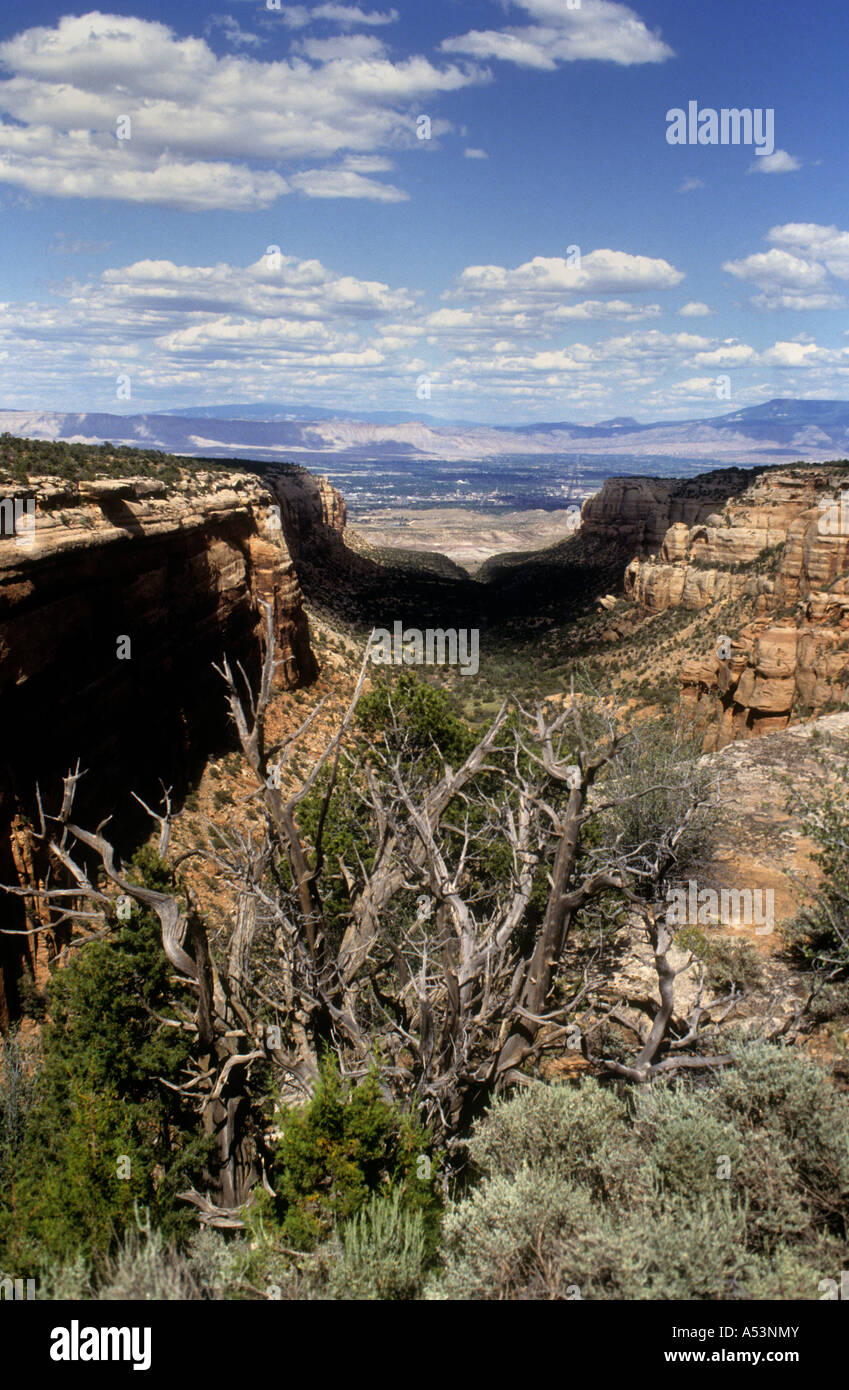 The Geology & Landscape,Of The Colorado National,Monument,USA Stock ...