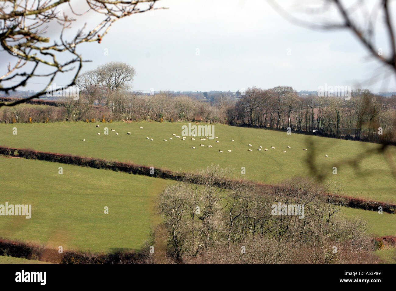 Ashwater devon hi-res stock photography and images - Alamy