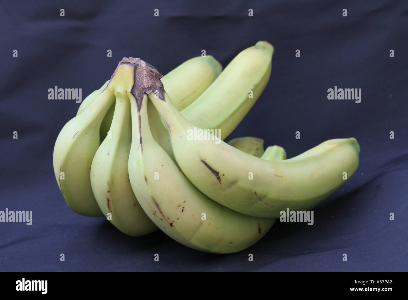 Bunch of bananas Stock Photo - Alamy