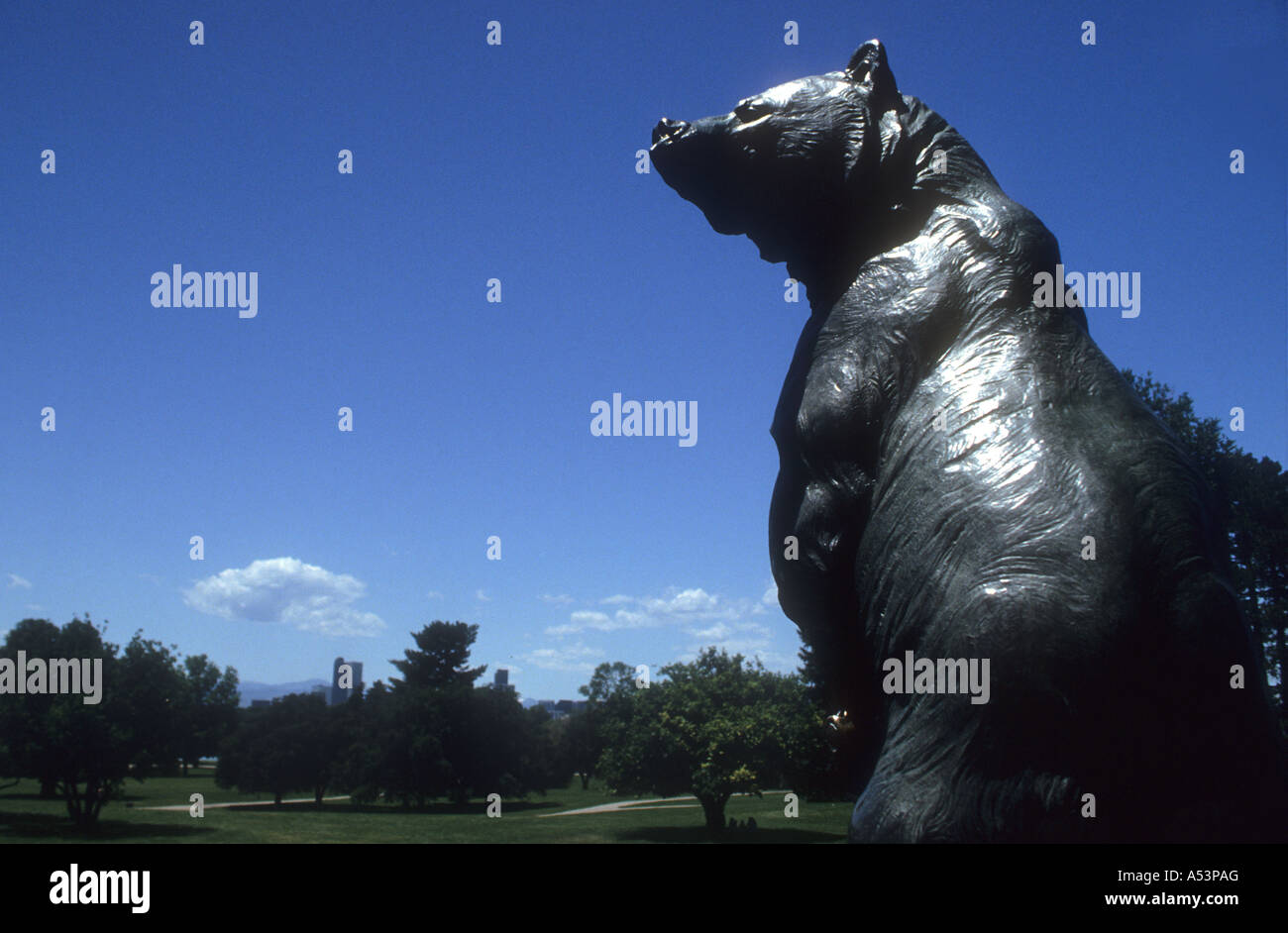 A Metallic Statue Of A Grizzly Bear.On Display Outside The Denver ...
